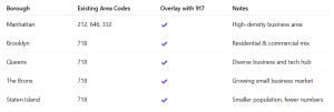 917 Country Code: Location, Usage, and Dialing Format